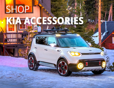 OEM Parts & Accessories | AC Auto Parts PR