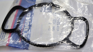 GM 12691259 Water Pump Seal | Genuine GM & AC Delco OEM Parts | Findlay ...