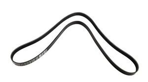 2019-2025 GM V-Ribbed Serpentine Belt 12669858 | GM Parts Center