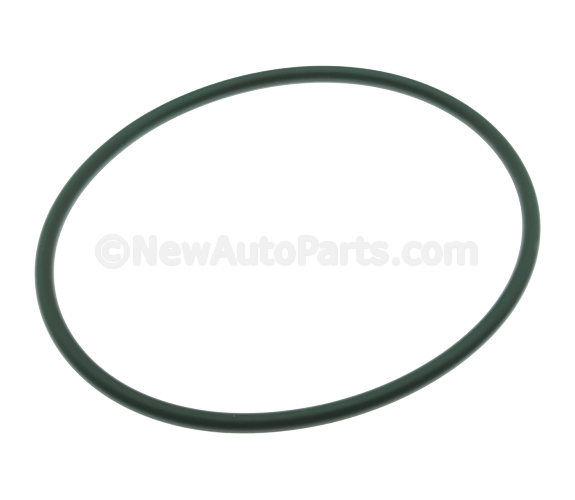 2004-2025 GM Fuel Pump O-Ring 22682111 | NewAutoParts.com