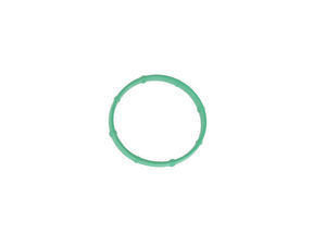 2016-2026 Mopar Egr Tube Seal 4861968AA | My Mopar Parts