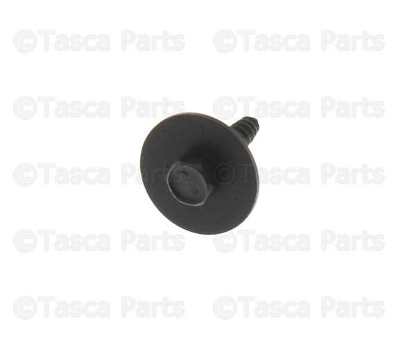 2001-2026 Fiat Tapping Hex Head Screw And Washer 6506161AA | TascaParts.com