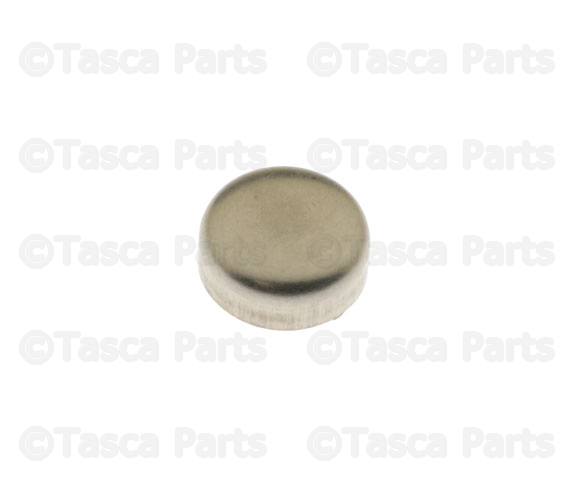 1999-2025 GM LS7 Bare Engine Block Hole Plug 9427693 | TascaParts.com