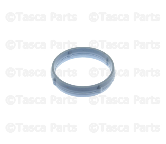 Short Runner Valve Actuator Seal 53022322AA | TascaParts.com