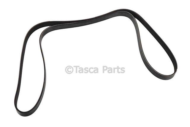 2017-2025 GM V-Ribbed Serpentine Belt 12649097 | TascaParts.com