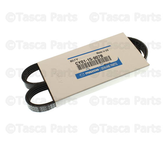 Power Steering Belt CY01-15-907B | TascaParts.com