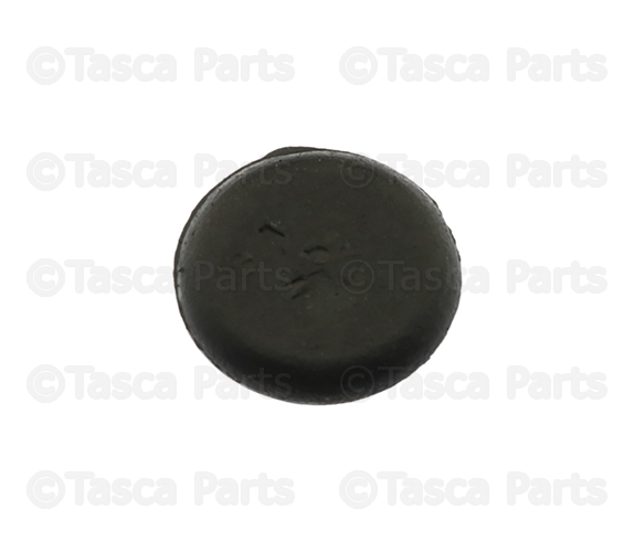 2015-2026 Fiat Button Plug 6106602AA | TascaParts.com