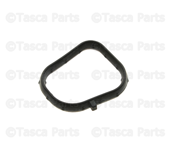 2007-2020 Fiat Adapter Seal 4884572AA | TascaParts.com