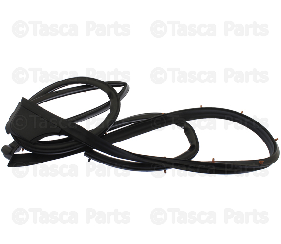 2005-2021 Nissan Surround Weather-Strip - Driver's Side (LH) 80831 ...