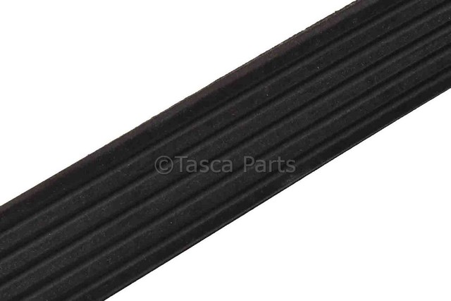 2017-2025 GM V-Ribbed Serpentine Belt 12649097 | TascaParts.com