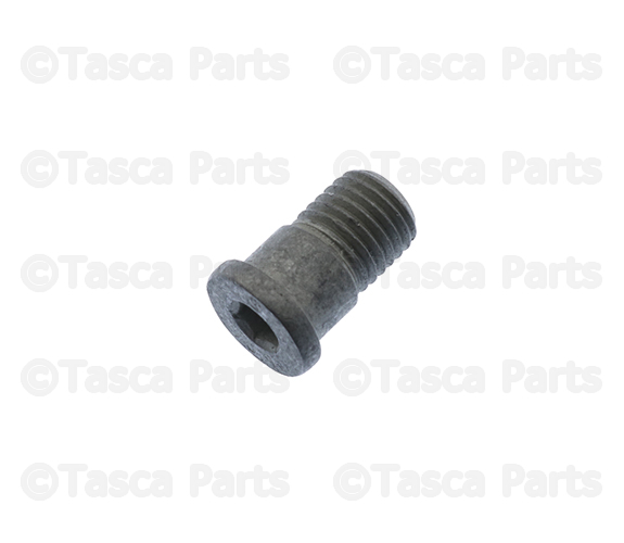 2013-2019 Fiat Hex Head Bolt 6509906aa | TascaParts.com
