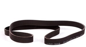Serpentine Belt - OEM Multi-Accessory Drive for Nissan | AutoNation Parts